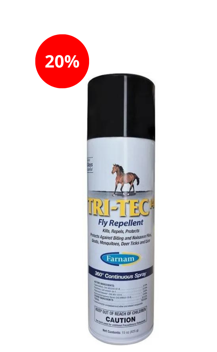 Equitazione naturale – Passione Cavallo